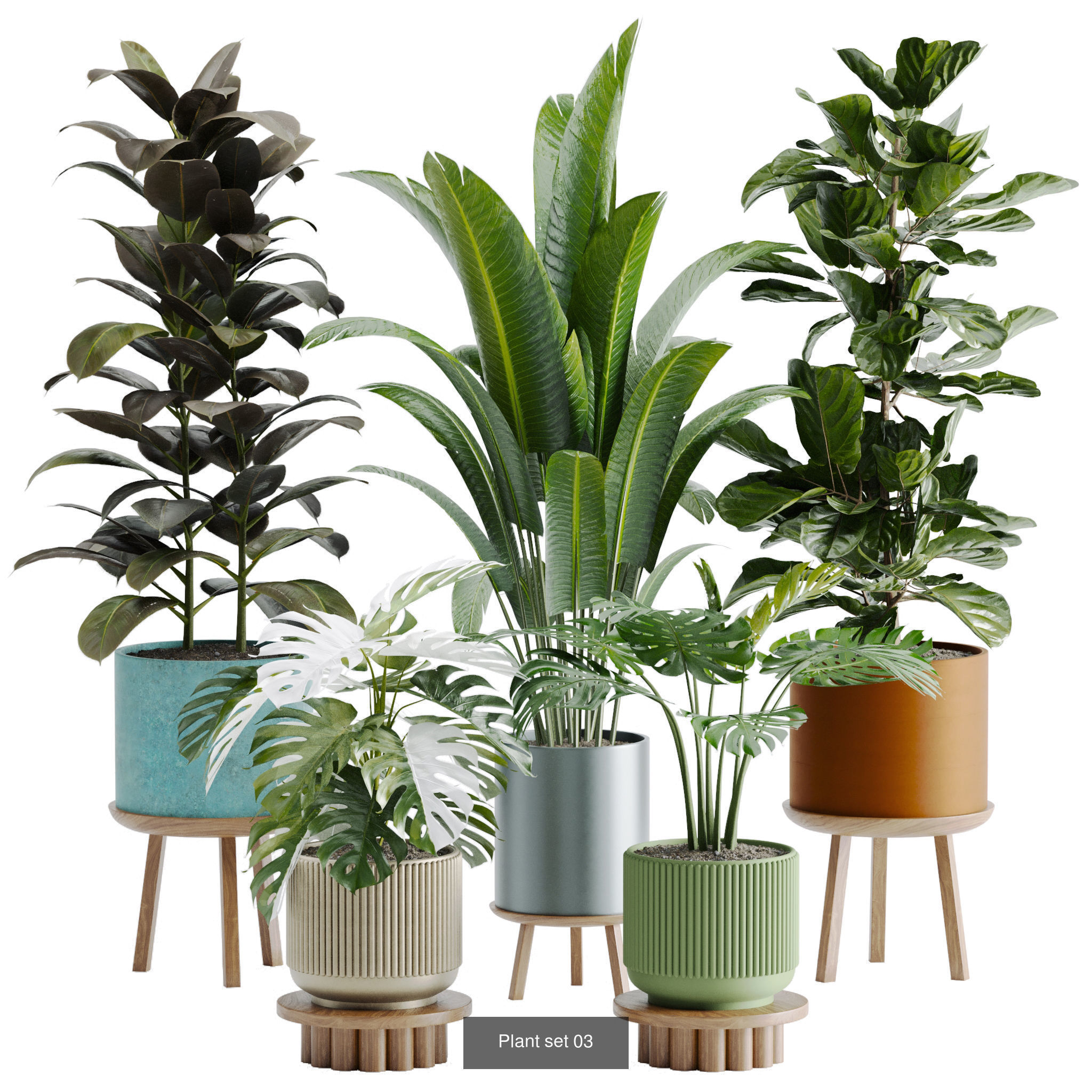 Plant sets collection | CGTrader
