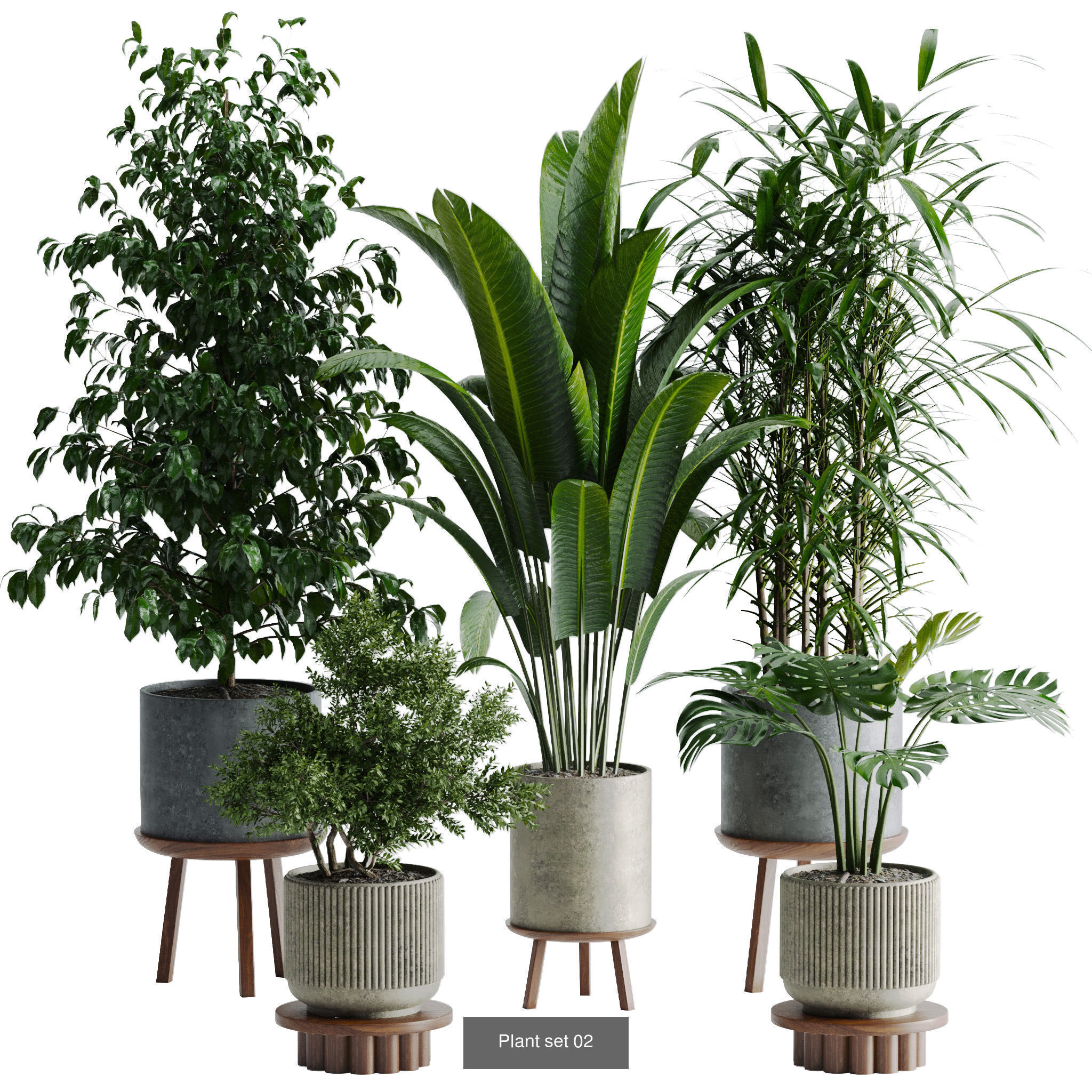 Plant sets collection | CGTrader
