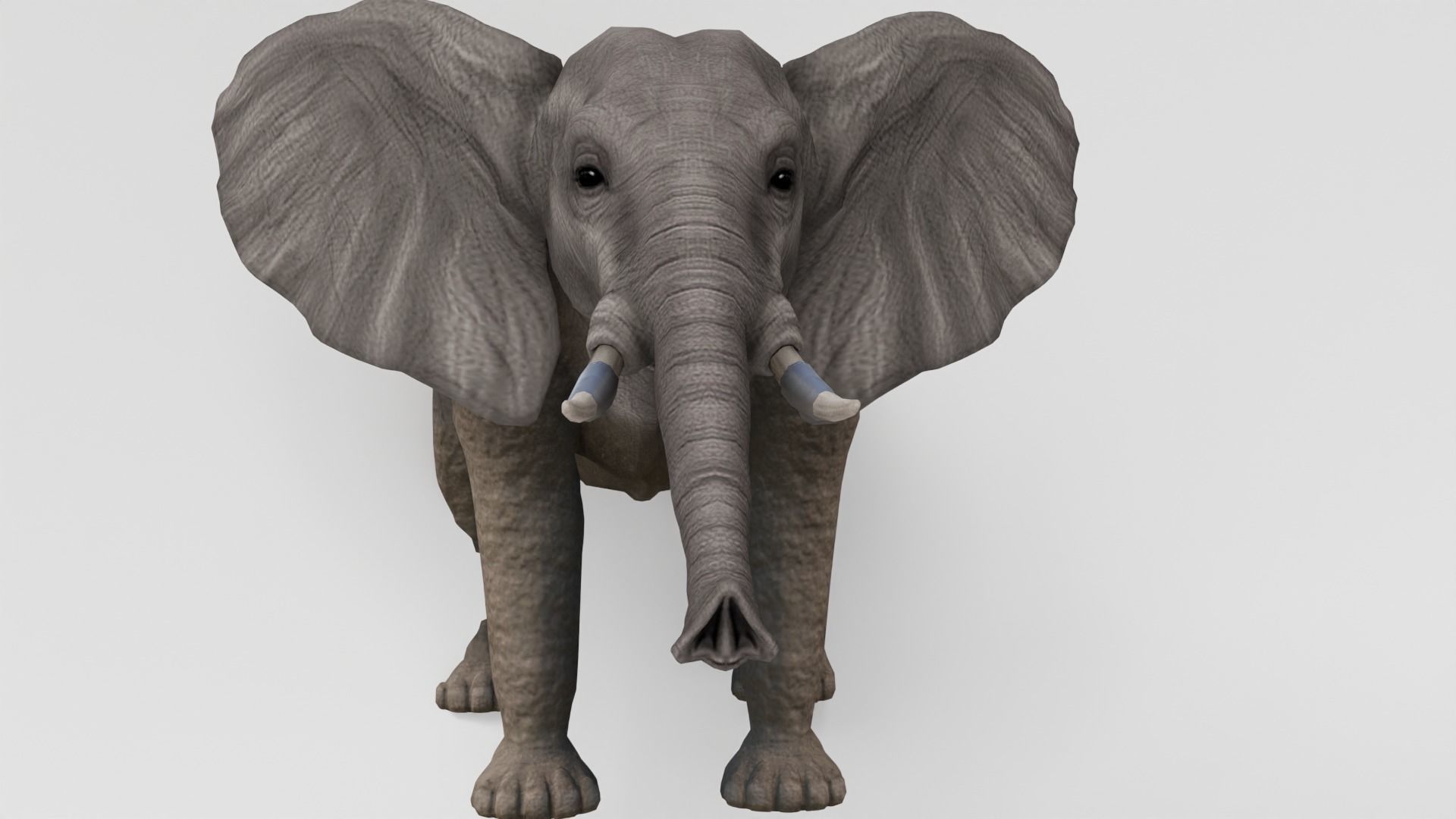 AnimalS Collection 3D model | CGTrader