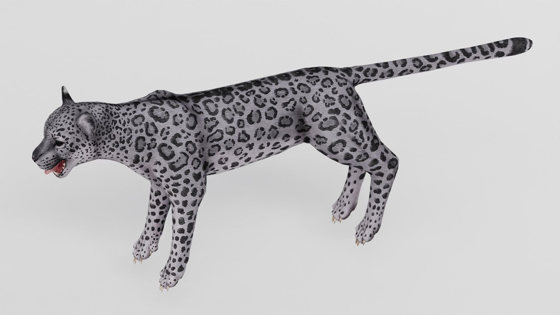 AnimalS Collection 3D model | CGTrader