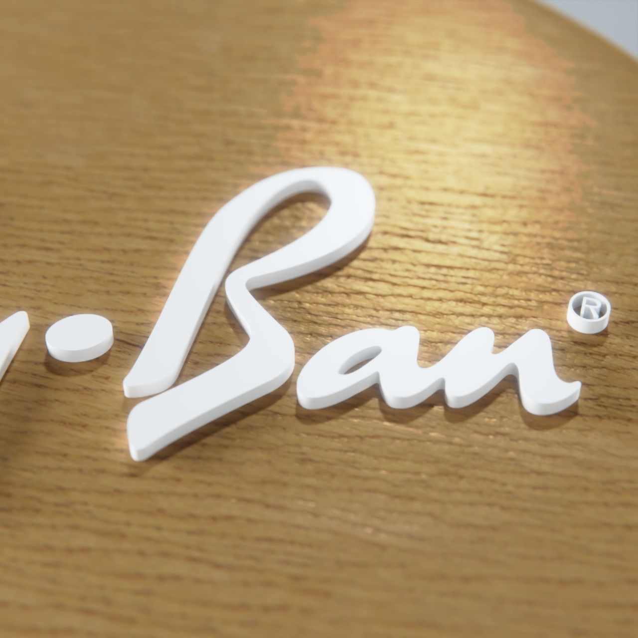 Ray Ban logo 3D model 3D printable | CGTrader