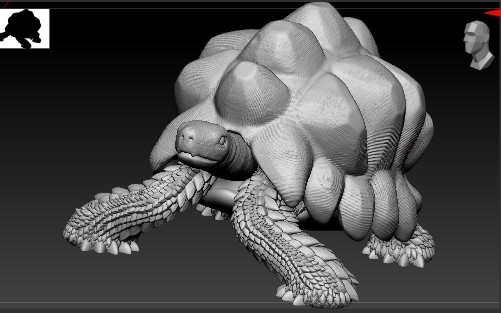 Green Sea Turtle 3DPrintable 3D print model 3D model 3D printable ...