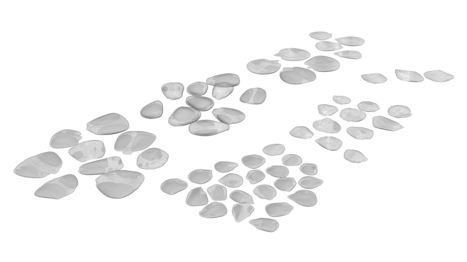 Colored Corn Kernels Set 3D model | CGTrader