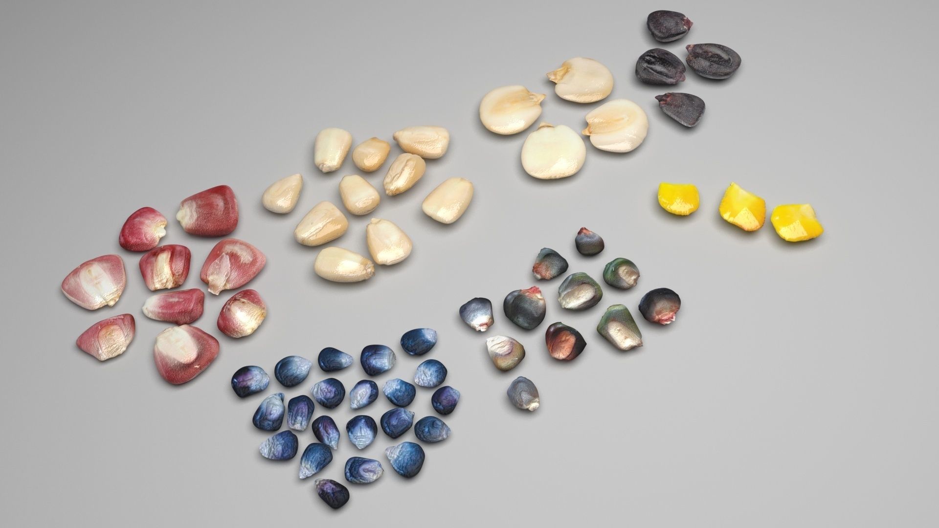 Colored Corn Kernels Set 3D model | CGTrader