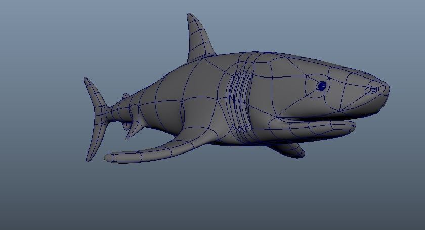 3d shark model 3D model | CGTrader