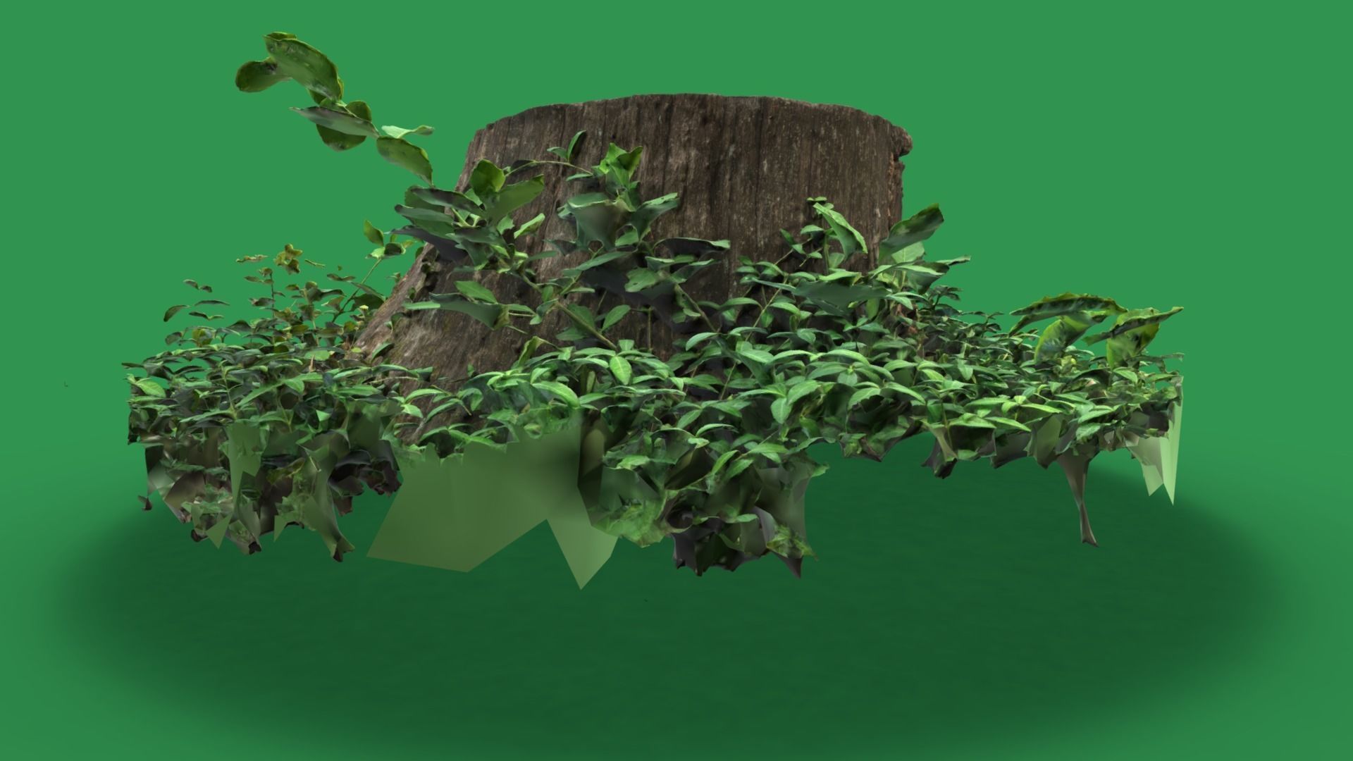 Tree stump 3D model for game or film use obj gltf usdz 3D model | CGTrader