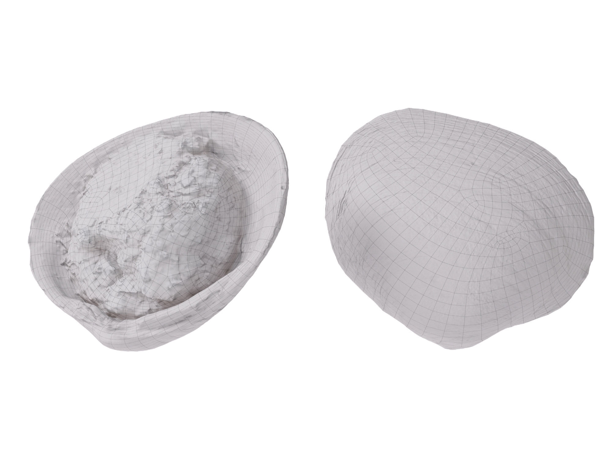 Stuffed Clams 3D model | CGTrader