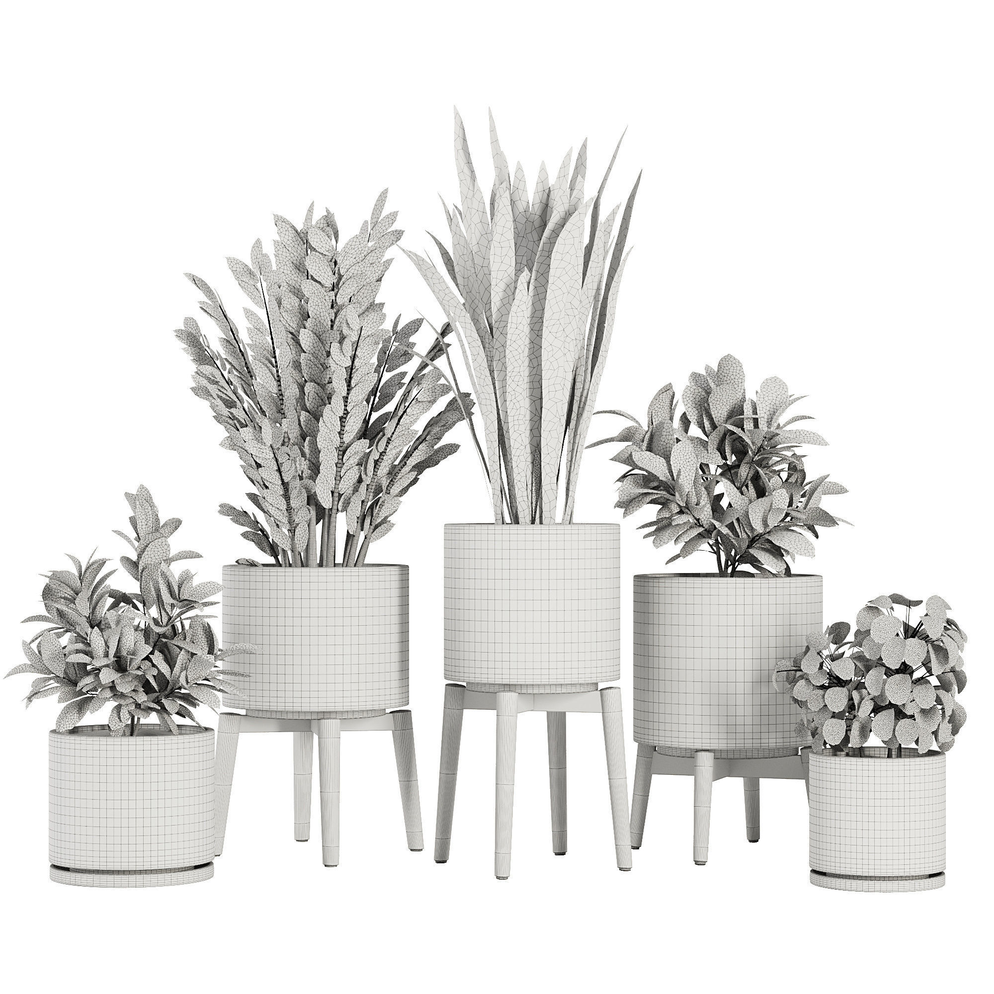Indoor Plant Set V5 3D model | CGTrader