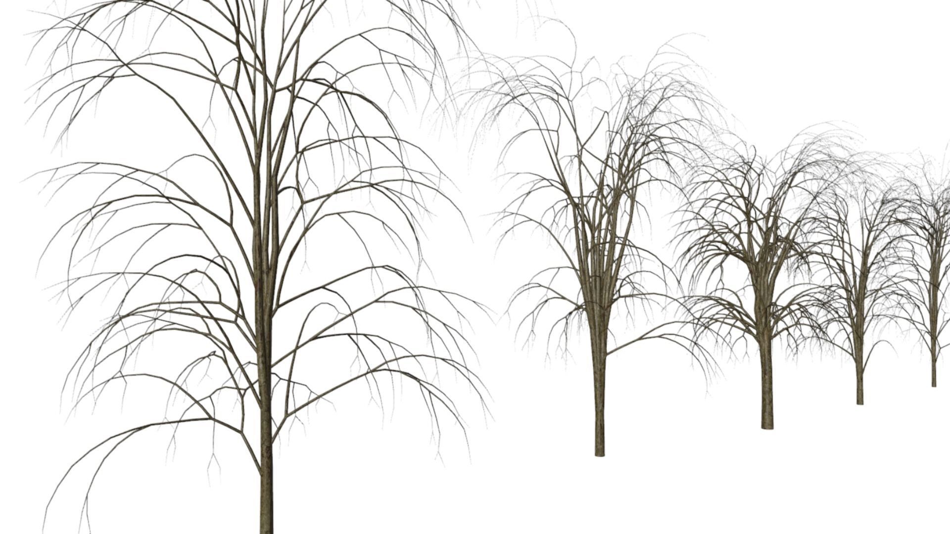 Dry Trees Pack 01 3D model | CGTrader
