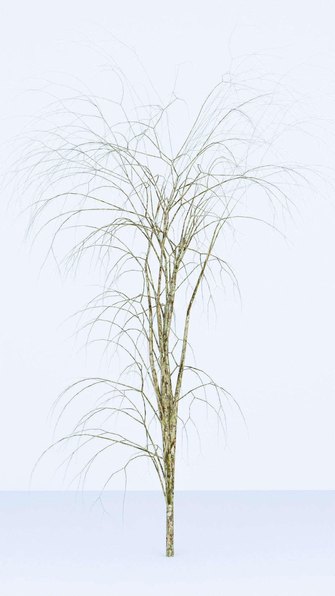 Dry Trees Pack 01 3D model | CGTrader