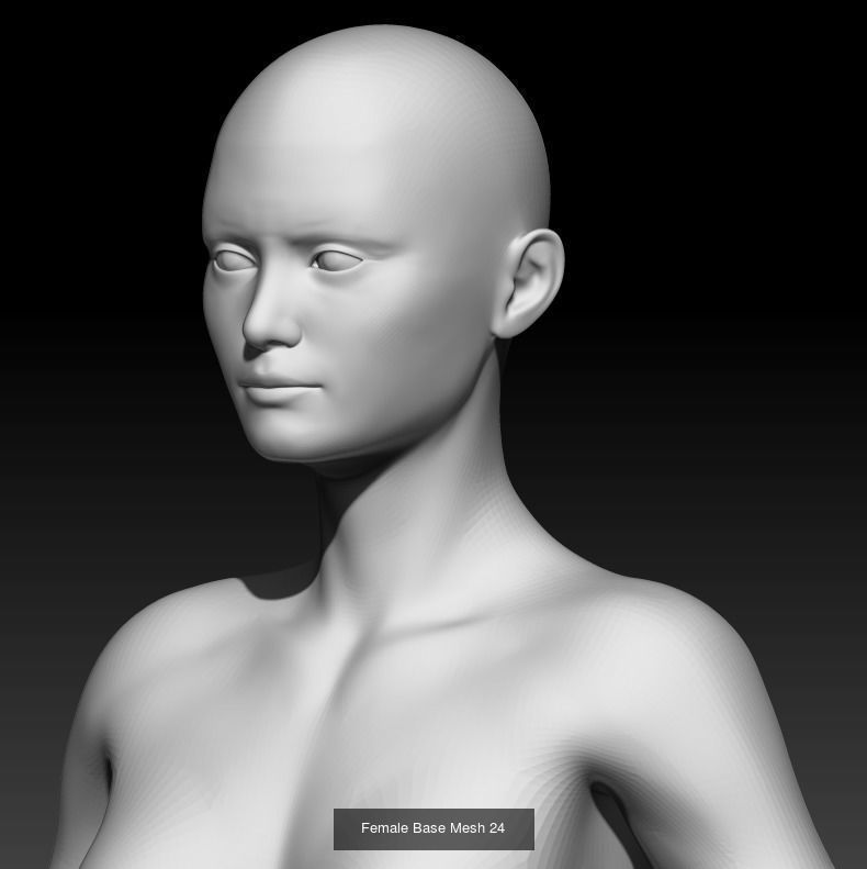 Female Base Mesh Pack 05 3D Model Collection | CGTrader