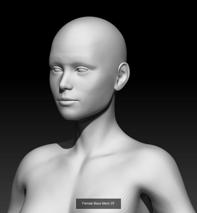 Female Base Mesh Pack 25 Models 3D Model Collection | CGTrader
