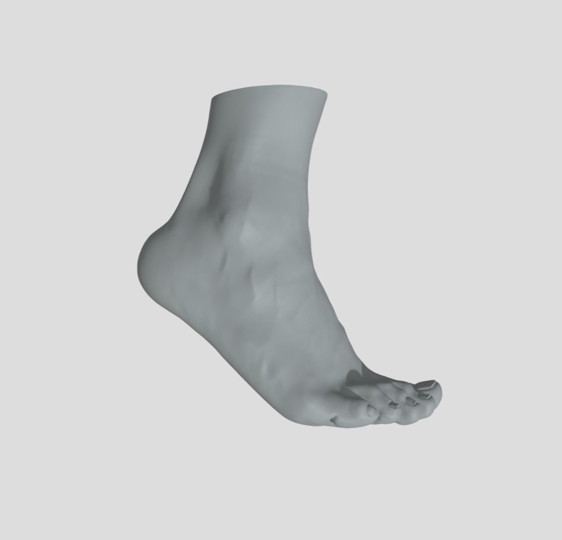 Feet - Foot - Paw 3D model 3D printable | CGTrader