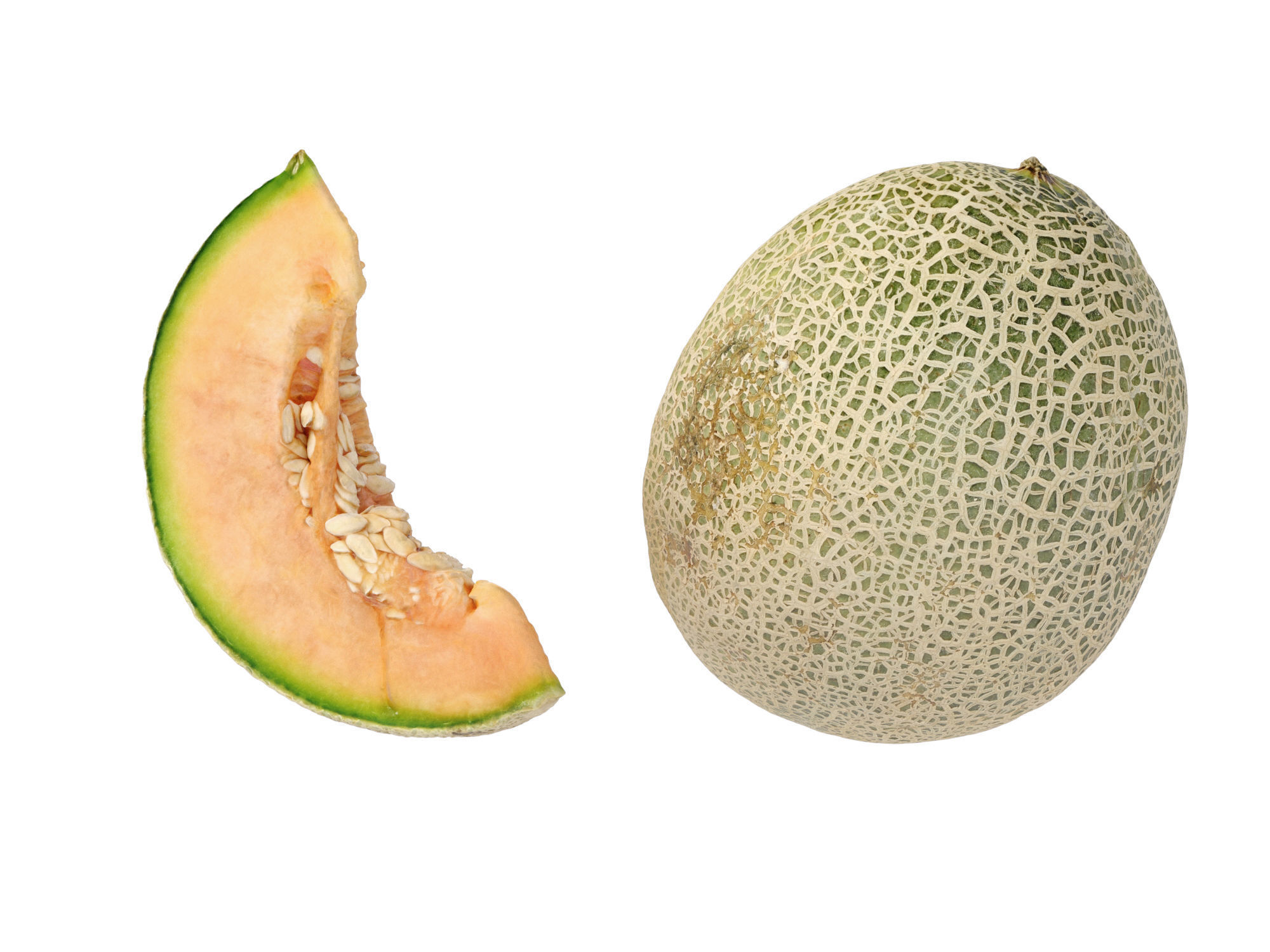 Melons 3D model | CGTrader