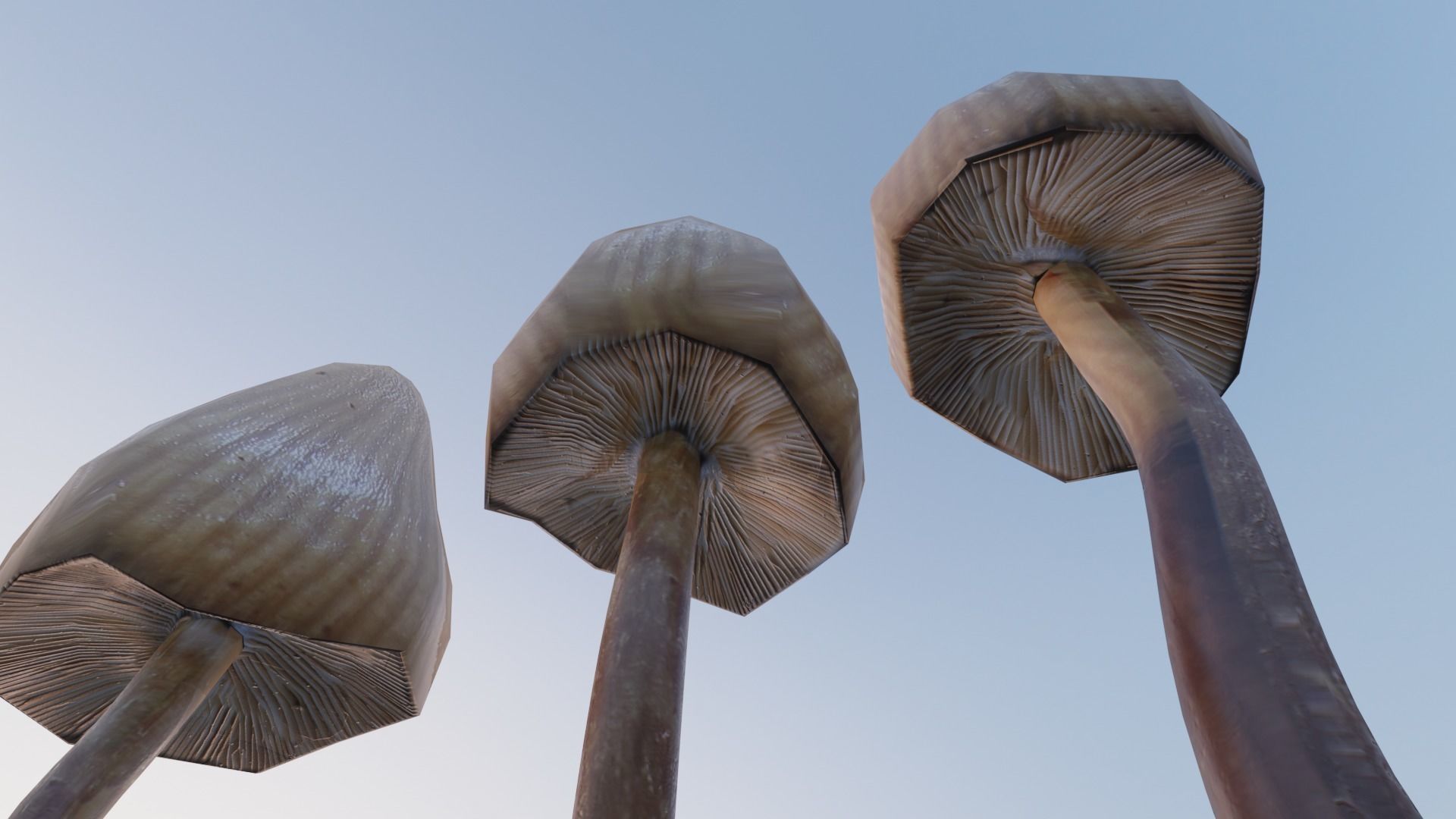 3D model Magic Mushrooms VR / AR / low-poly | CGTrader