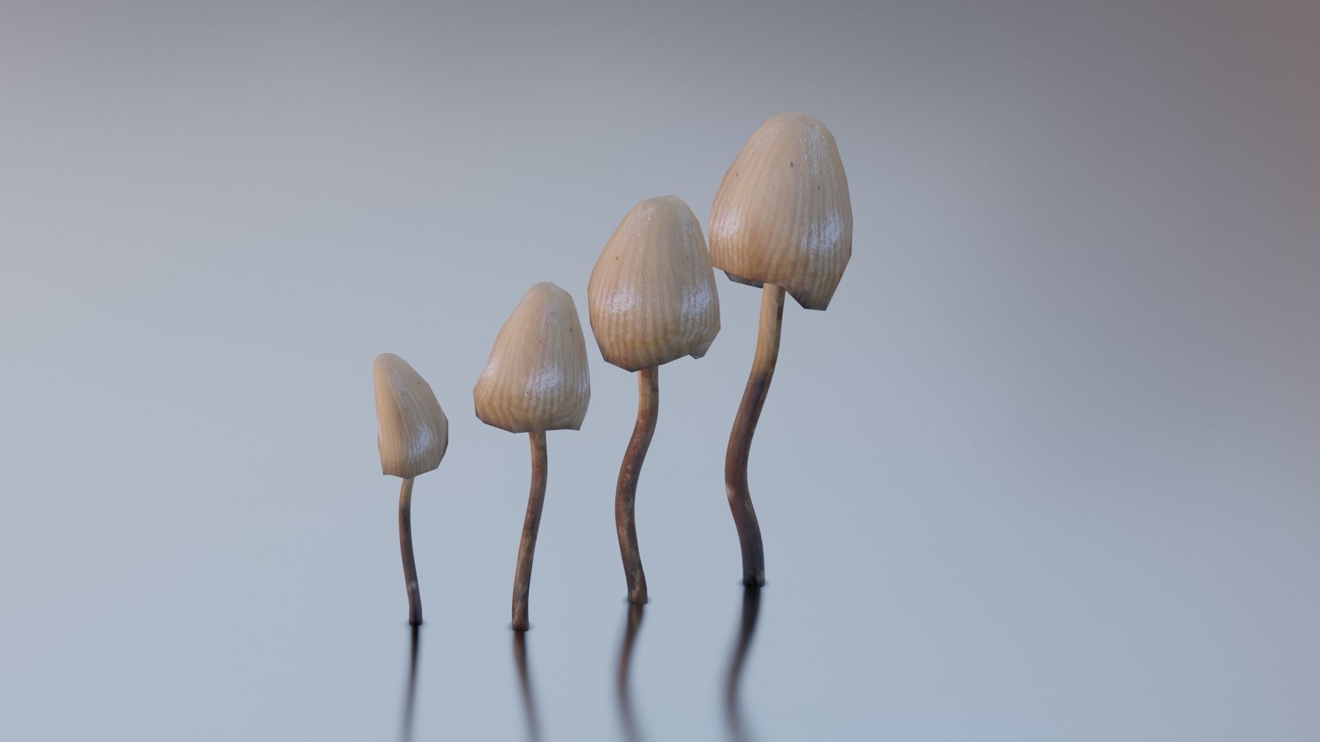 3D model Magic Mushrooms VR / AR / low-poly | CGTrader
