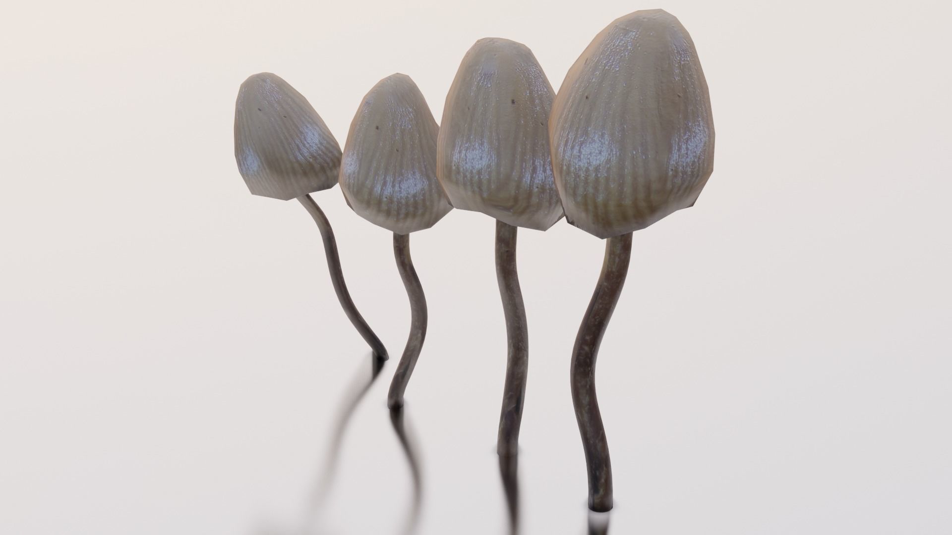 3D model Magic Mushrooms VR / AR / low-poly | CGTrader