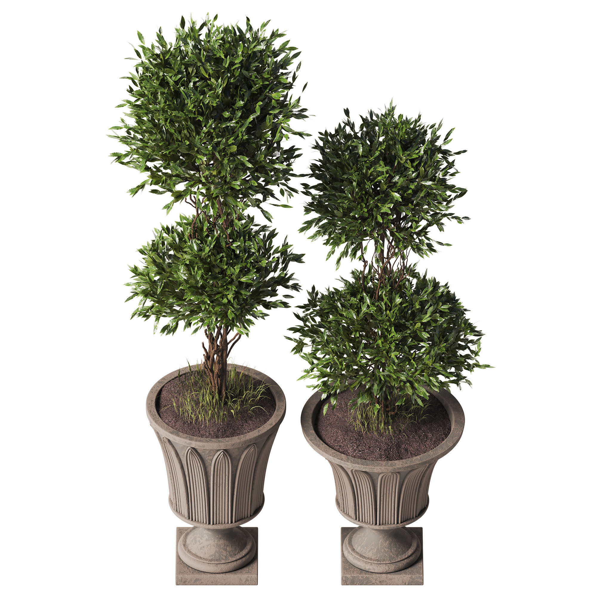 Topiary Pot 3D model | CGTrader
