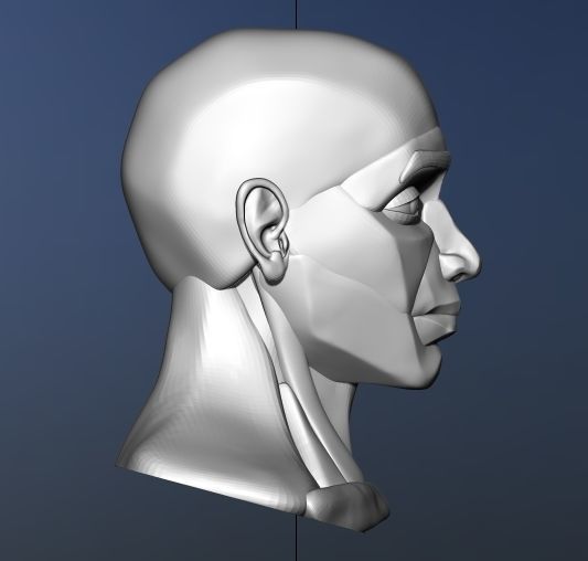 stylized head blocking 3D model | CGTrader