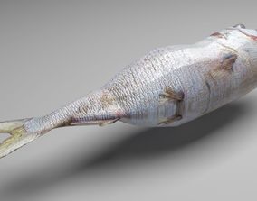 Deformed Fish Athabasca River