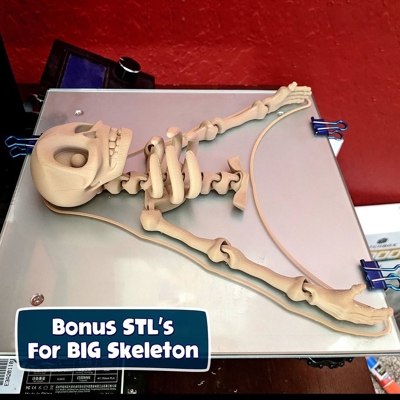 Poseable Flexi Skeleton - 3D Printed STL Model 3D model 3D printable ...