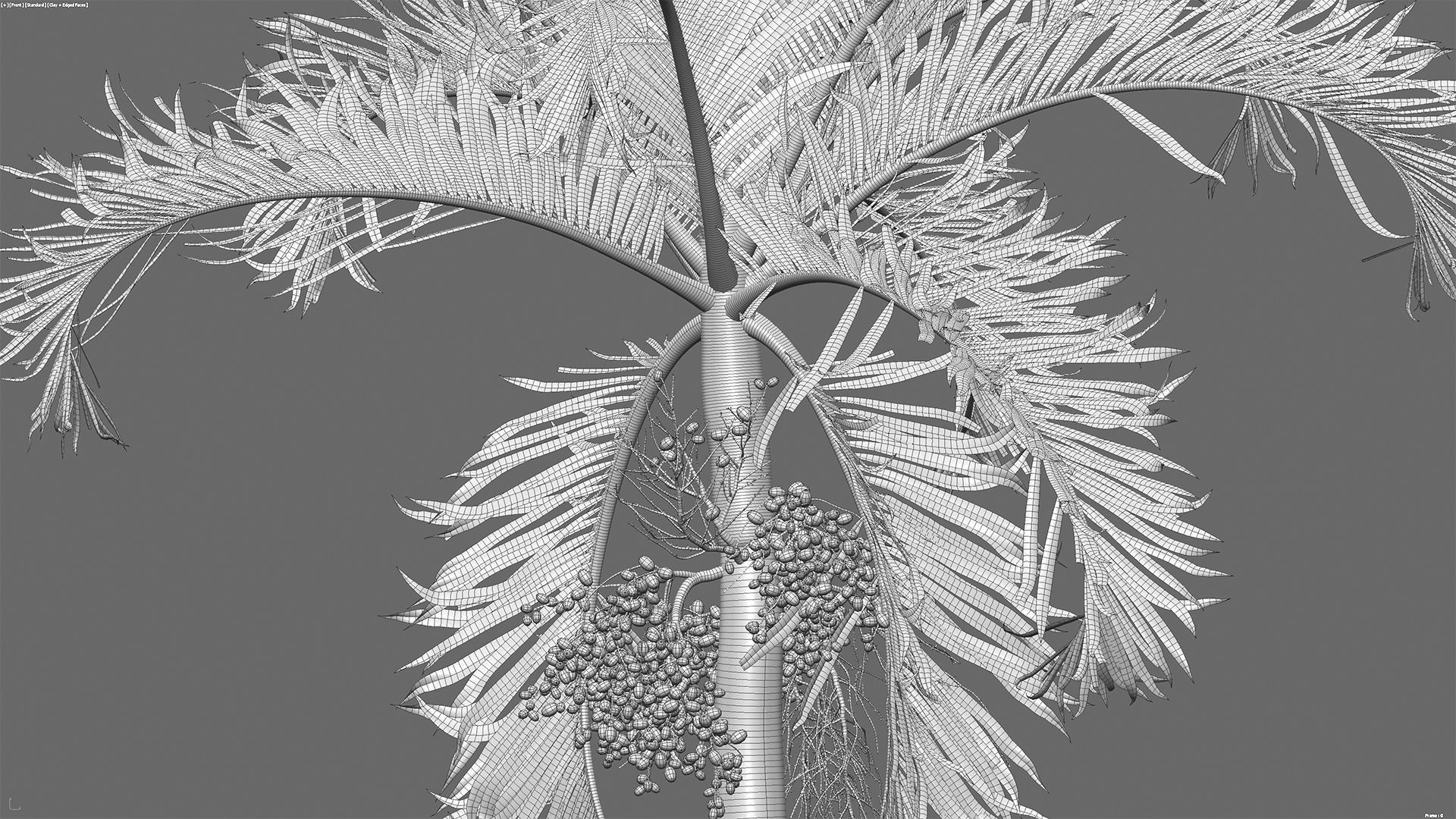 Areca catechu - Betel Nut Palm - Pinang Sirih 3D model | CGTrader
