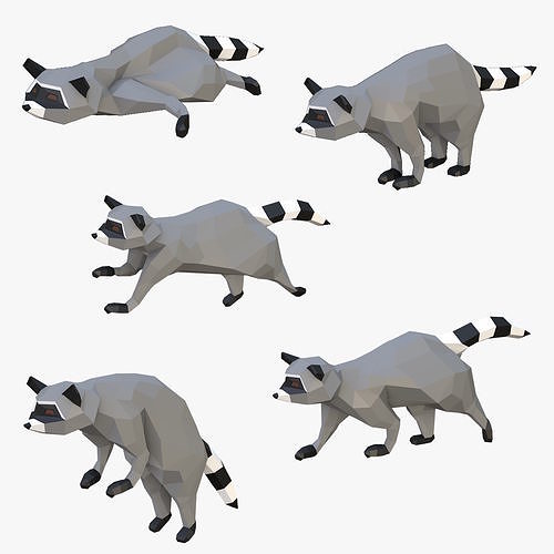 3D model Raccoon VR / AR / low-poly | CGTrader