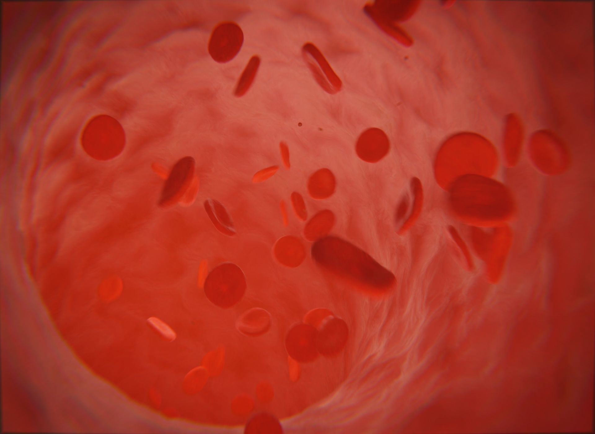 3D model Blood cells in Vein Medical Animation VR / AR / low-poly ...