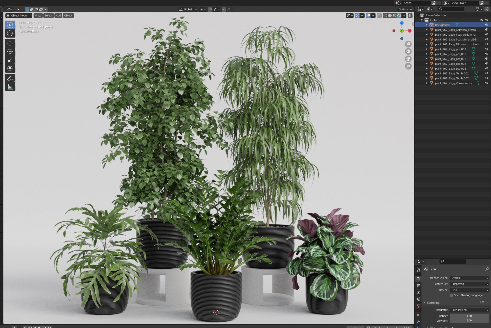 Plants collection 962 3D model | CGTrader