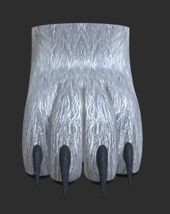 3D model 4 Digit Paws Low and High Poly Rigged Textured VR / AR / low ...