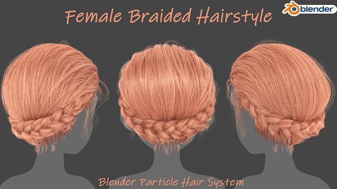 Female Braided Hairstyle Blender Particle System 3d Model Cgtrader