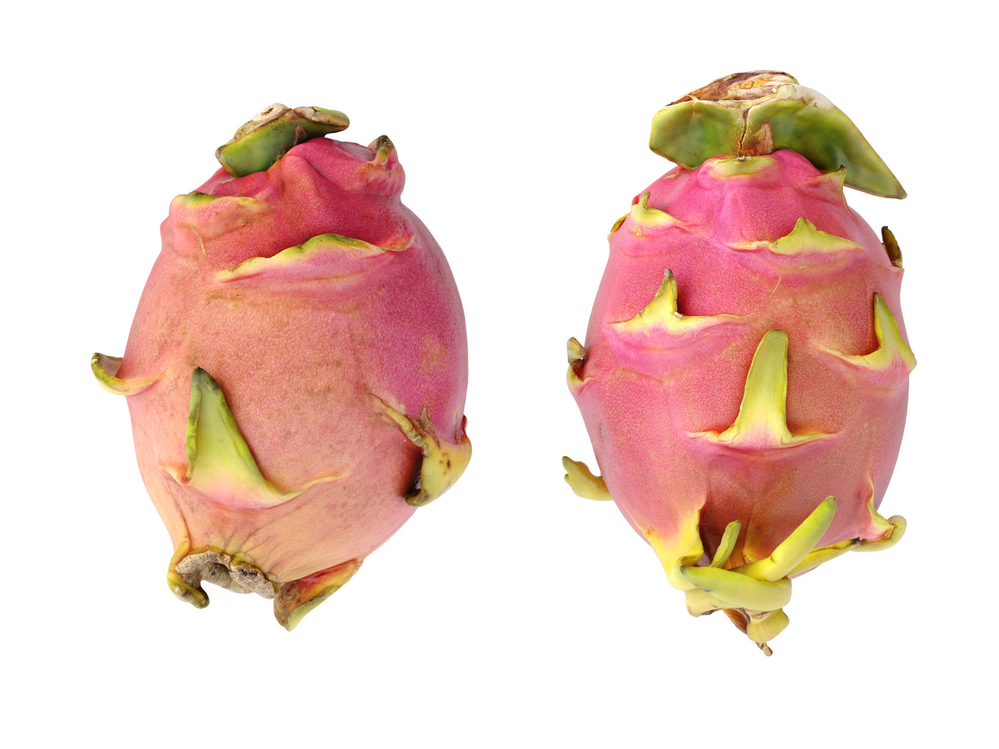 Dragon Fruit - Pitaya 3D model | CGTrader