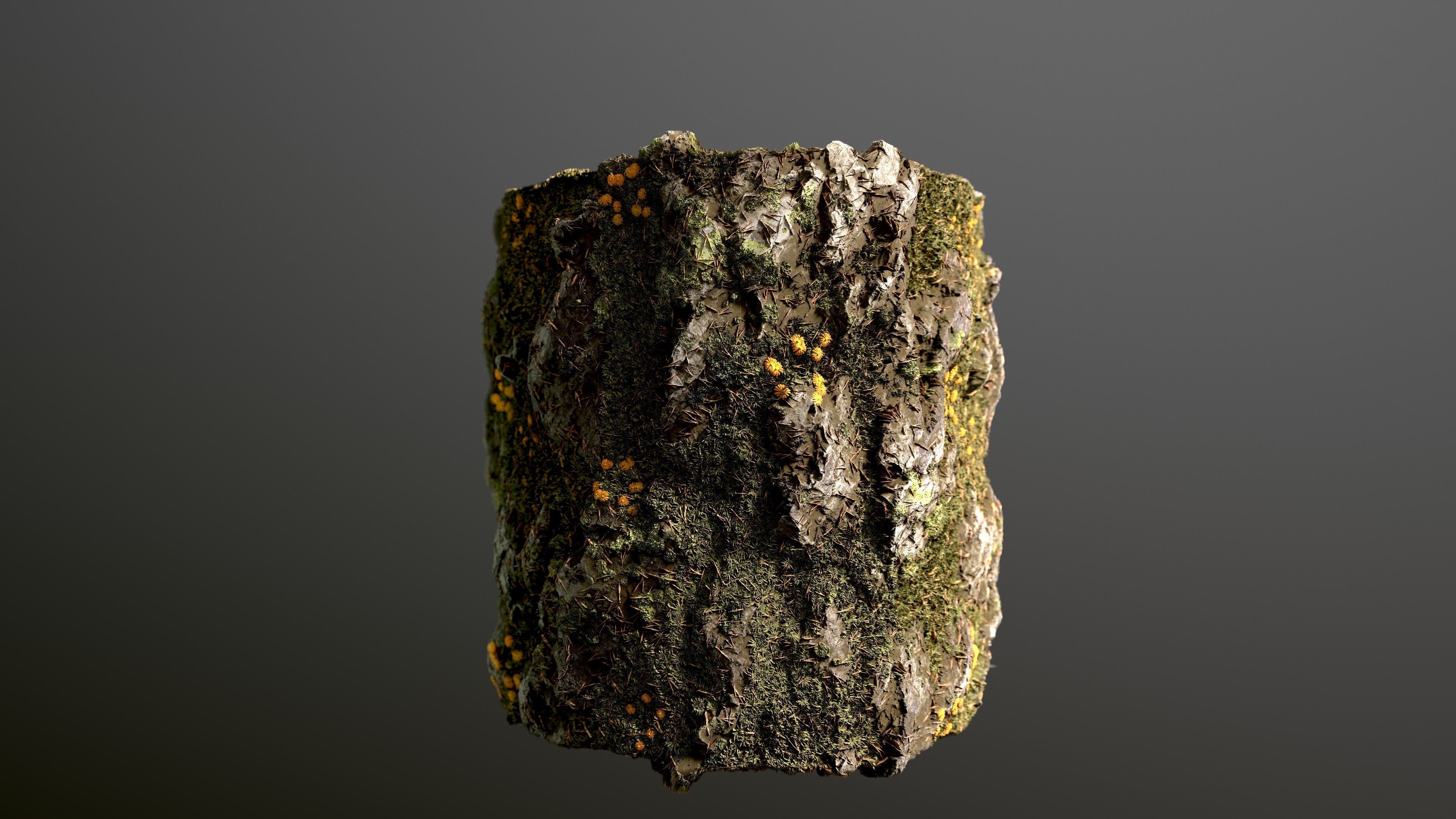 3D Mossy Rocky Surface Substance Designer material Texture | CGTrader