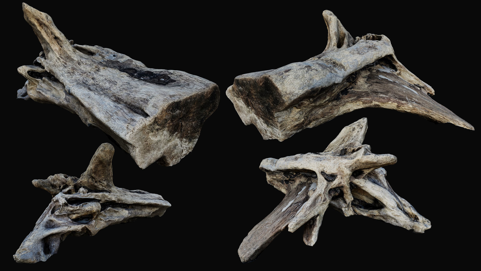 Driftwood Props for Unreal Nanite 3D model | CGTrader