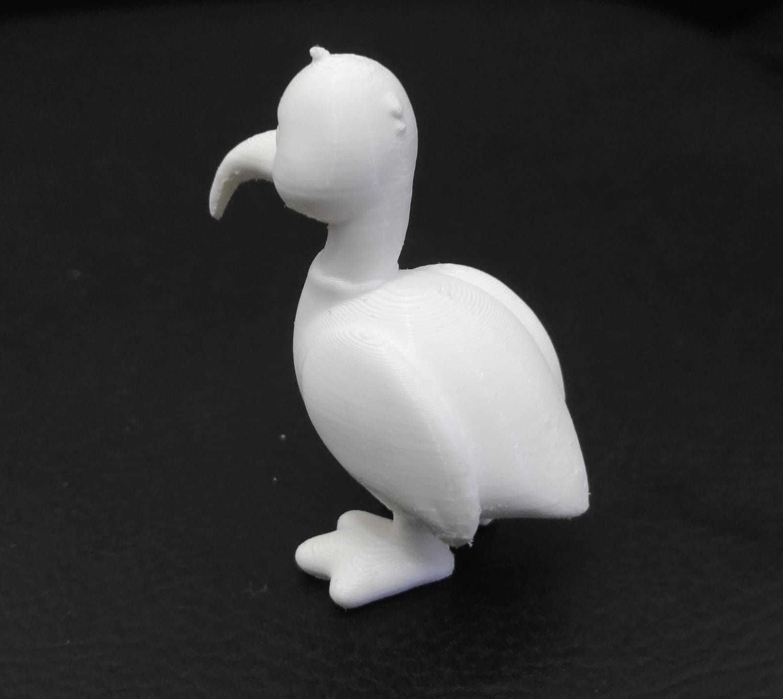 Ibis Bird 3D model 3D printable | CGTrader