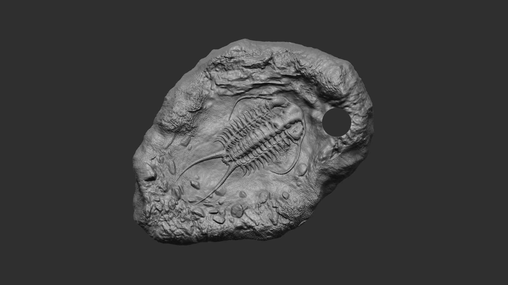 Trilobite Mineral Fossile - Realistic Printable and Keychain 3D model ...