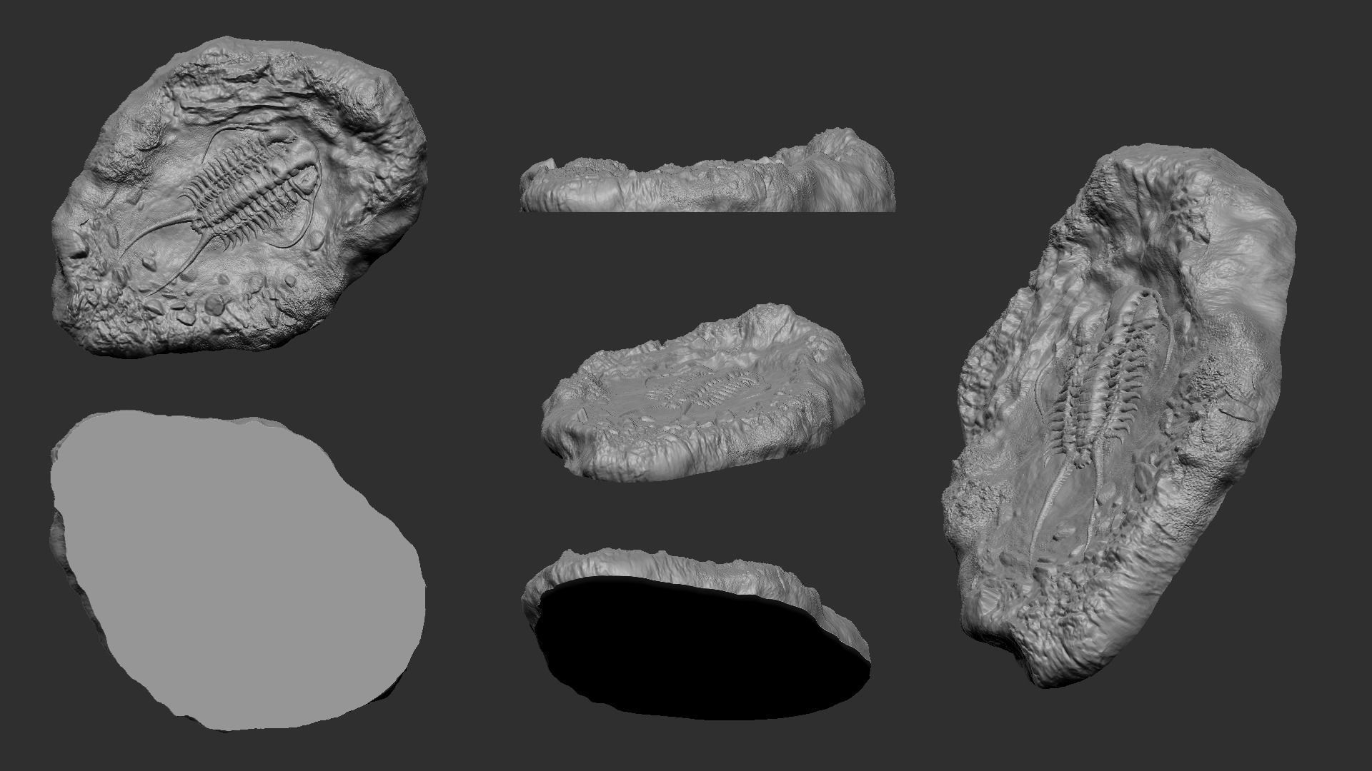 Trilobite Mineral Fossile - Realistic Printable and Keychain 3D model ...