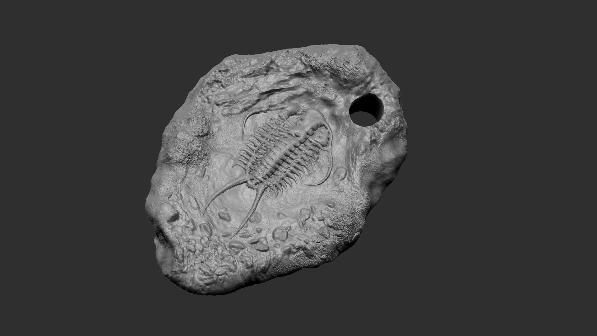 Trilobite Mineral Fossile - Realistic Printable and Keychain 3D model ...