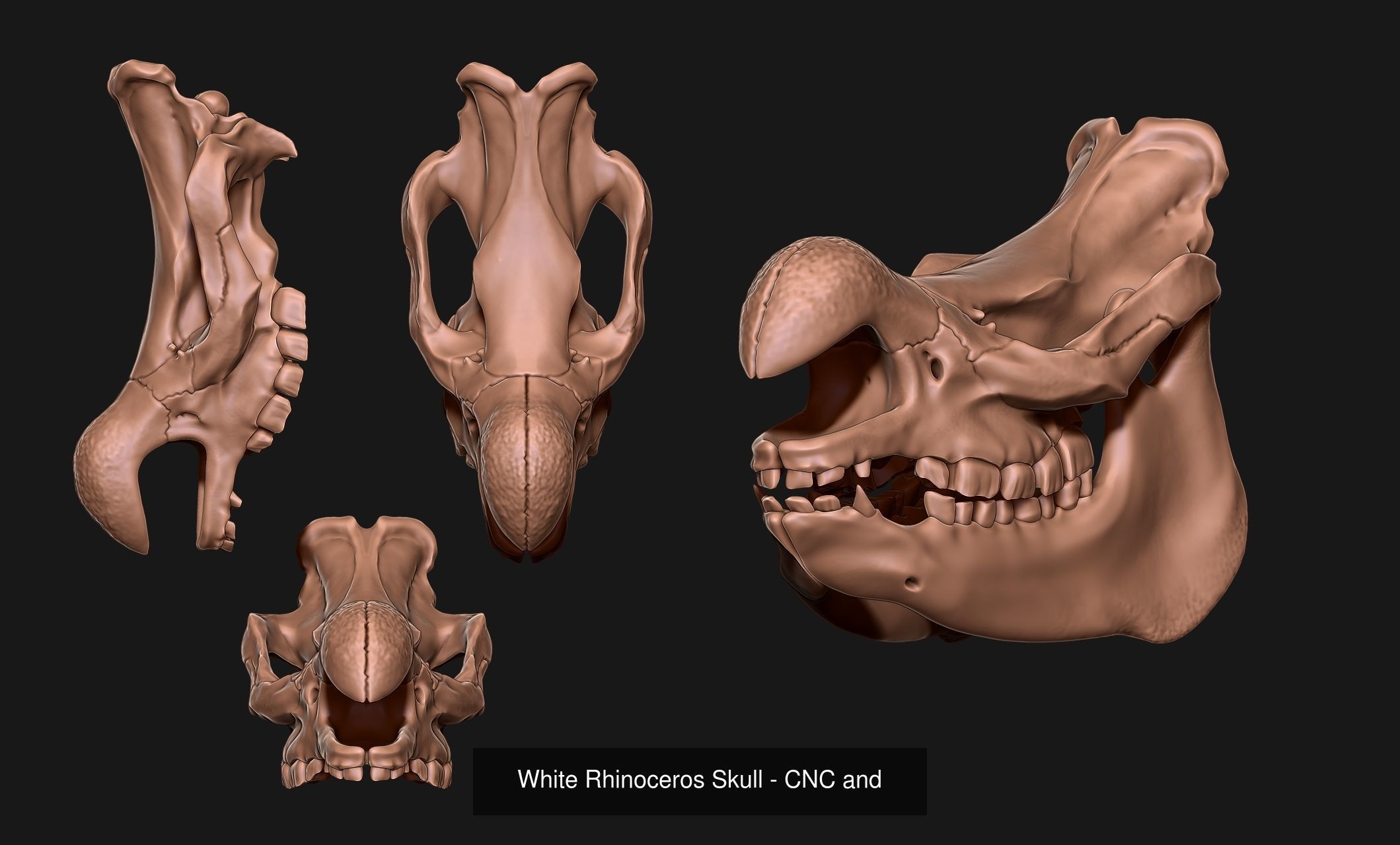 30 Skulls Collecctions Pack 3D Model Collection 3D printable | CGTrader