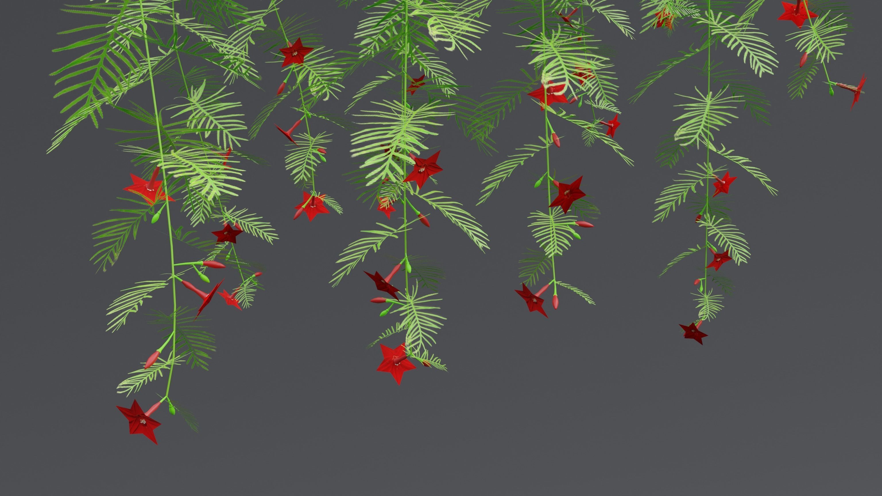 3d Hang Flower Pot 3D model | CGTrader