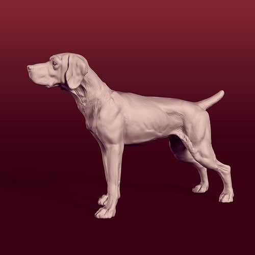 3D Print Ready Dog Statue 3D model 3D printable | CGTrader