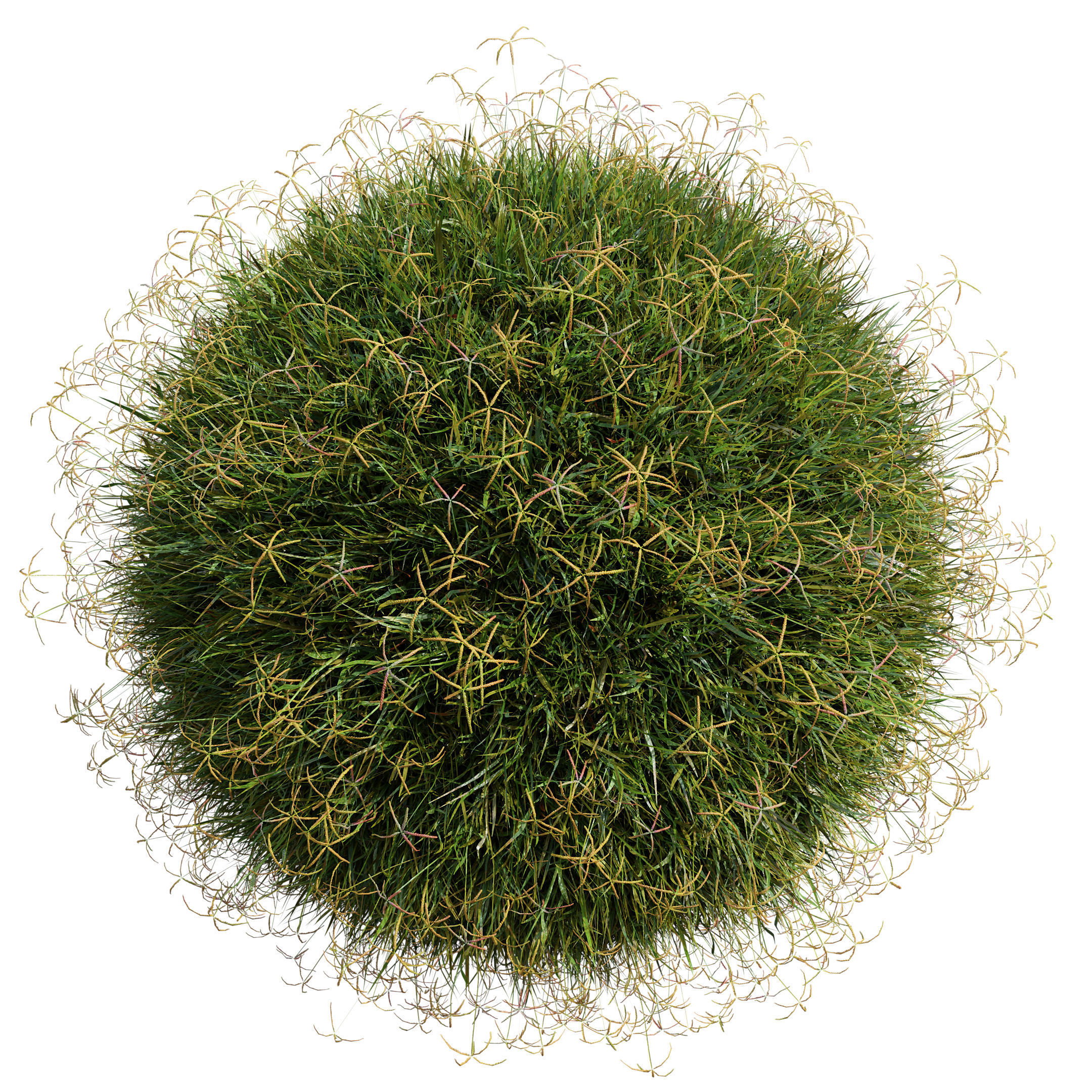 3D model Grass foliage pack 8k and 2k resolution meadow plant VR / AR ...