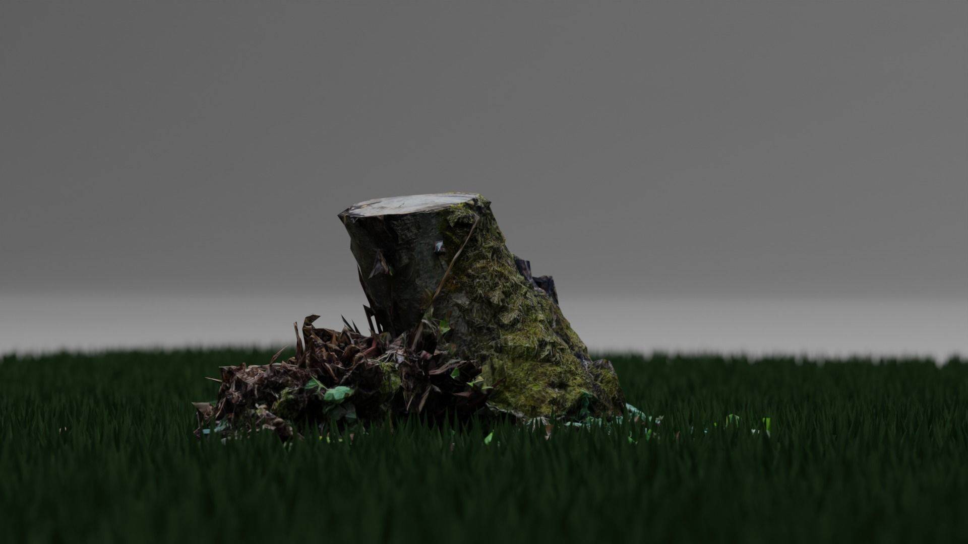 tree trunk 3D model | CGTrader