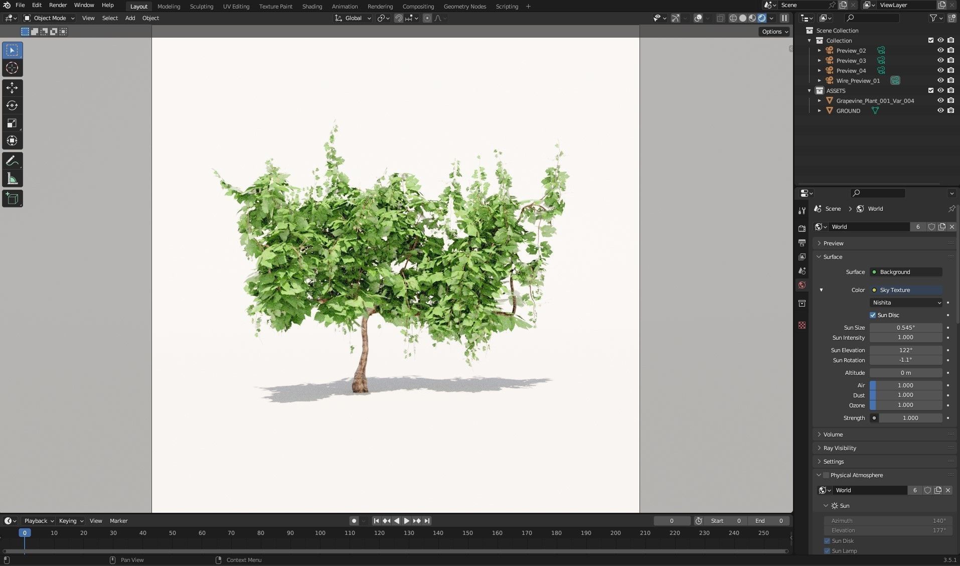 Grapevine Plant 001 Var 004 3D model | CGTrader