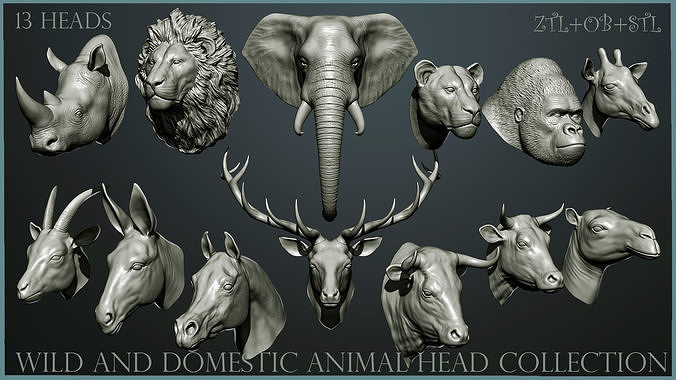 13 animal Heads 3D model | CGTrader