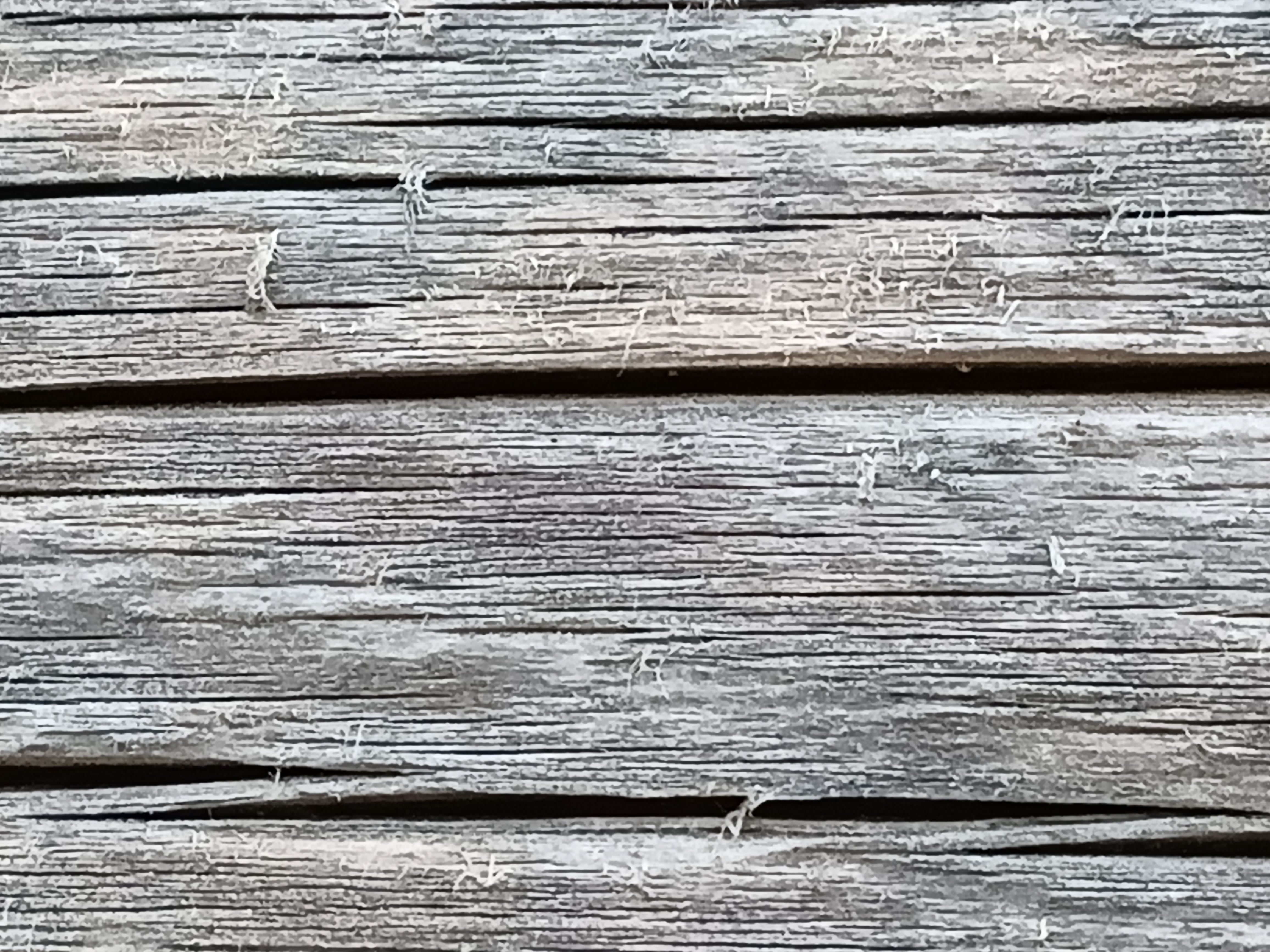 Wood Textures Pack 3 Texture | CGTrader