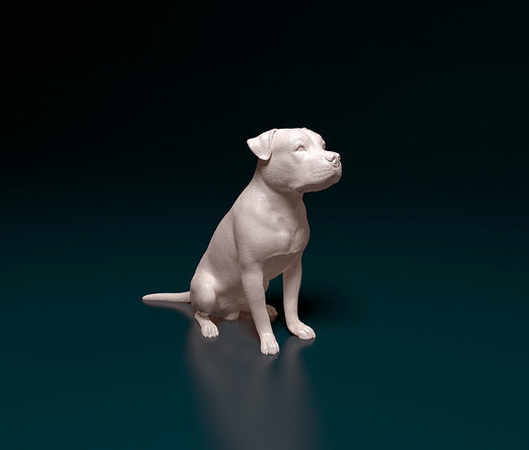 Pitbull 07 3D model 3D printable | CGTrader