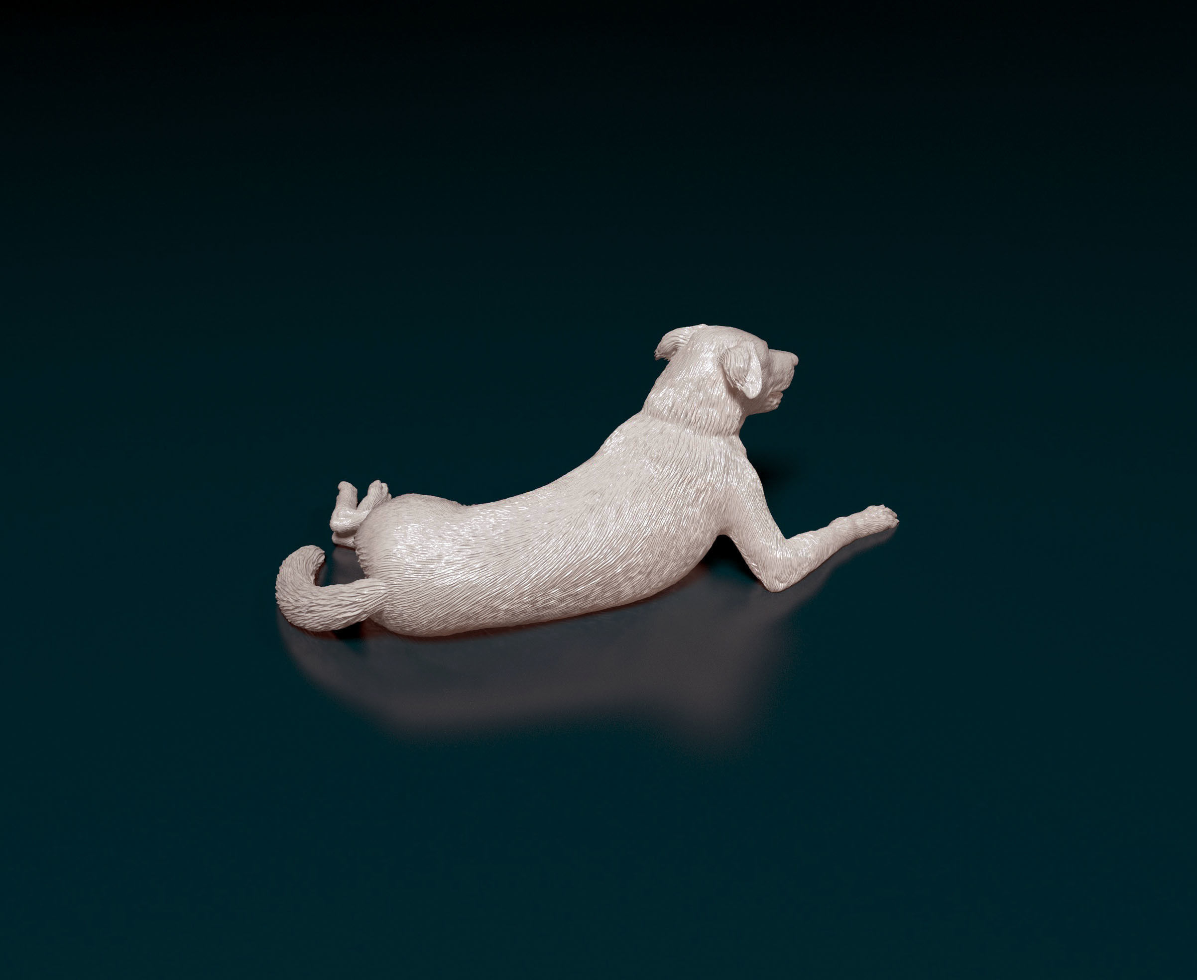 Border Collie 05 3D model 3D printable | CGTrader