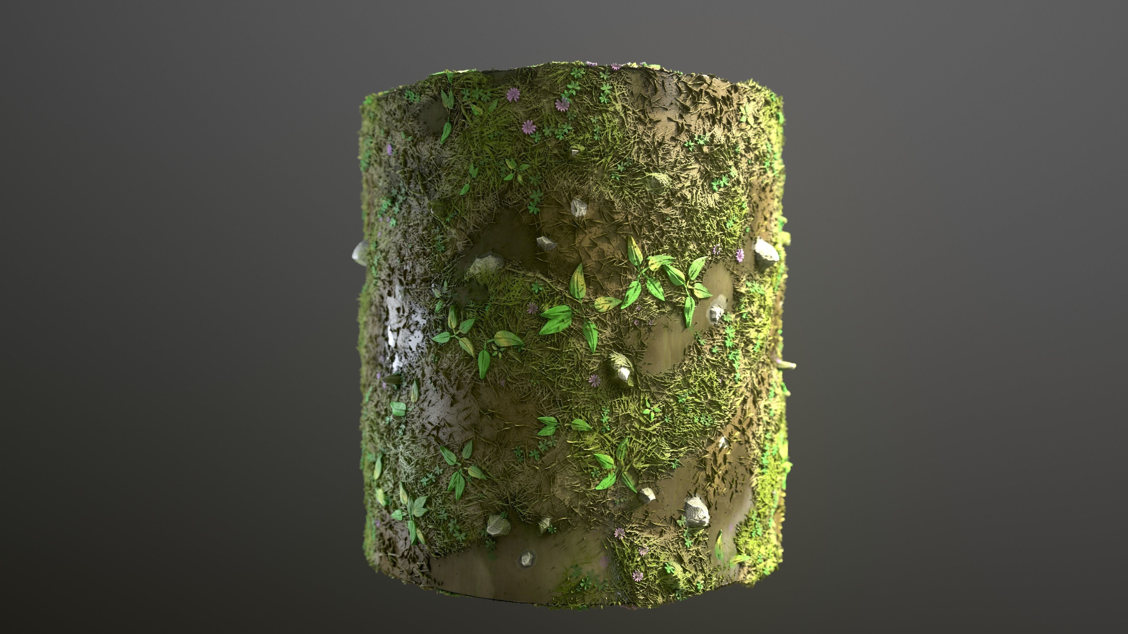 Meadow 4k PBR texture 3D Model Collection | CGTrader