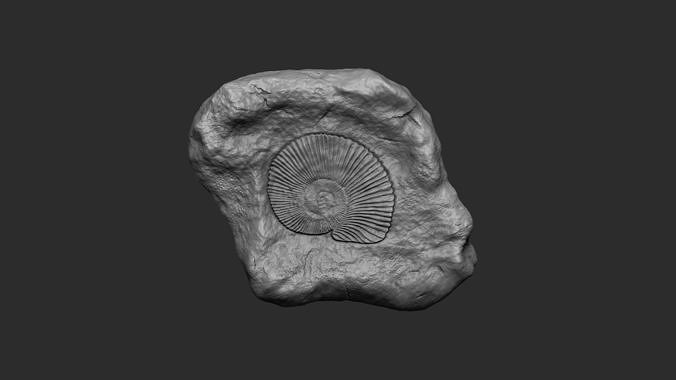 Ammonite Mineral Fossile - Realistic Printable and Keychain 3D model 3D ...